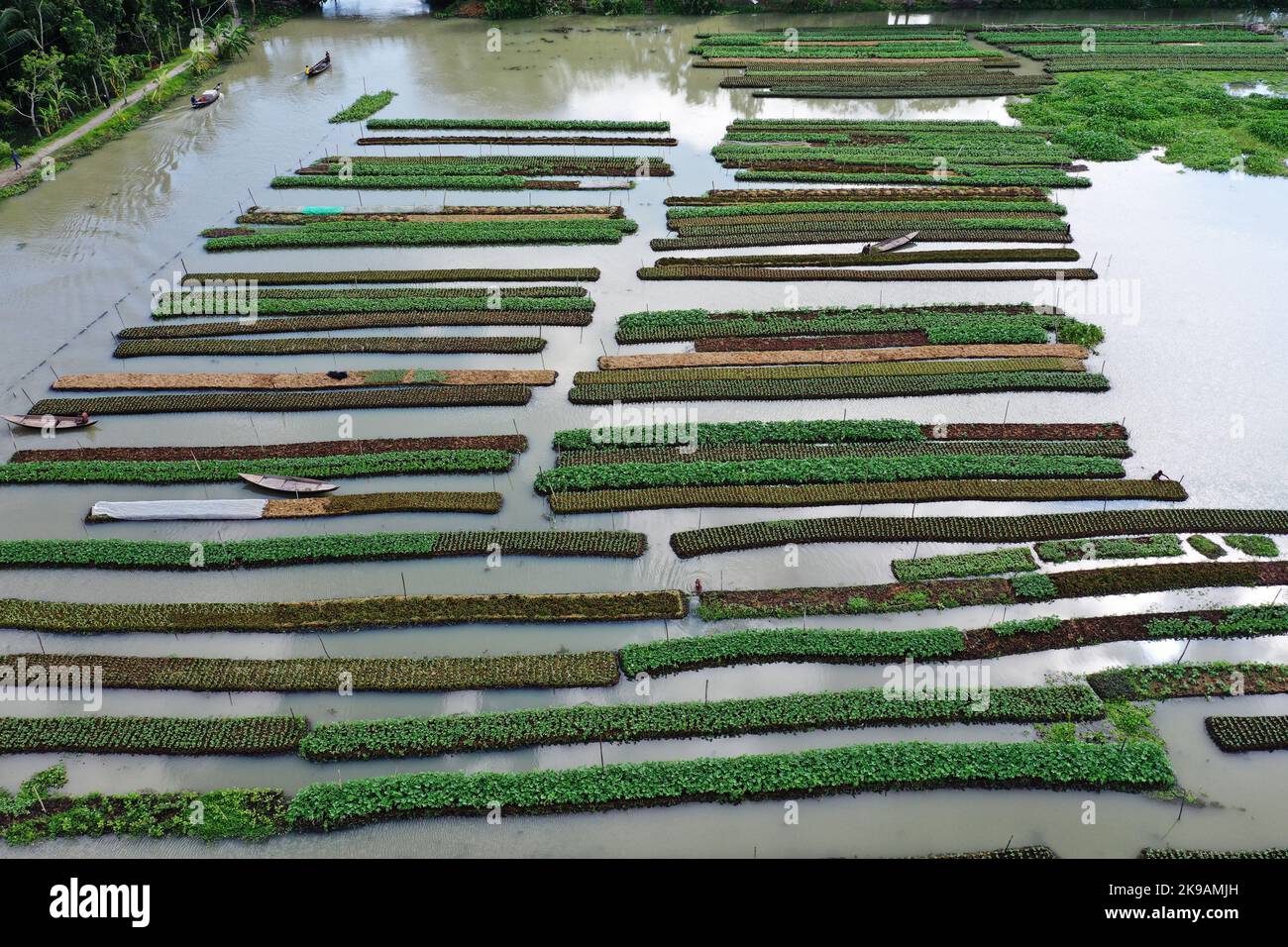 Floating farm bangladesh hi-res stock photography and images - Alamy
