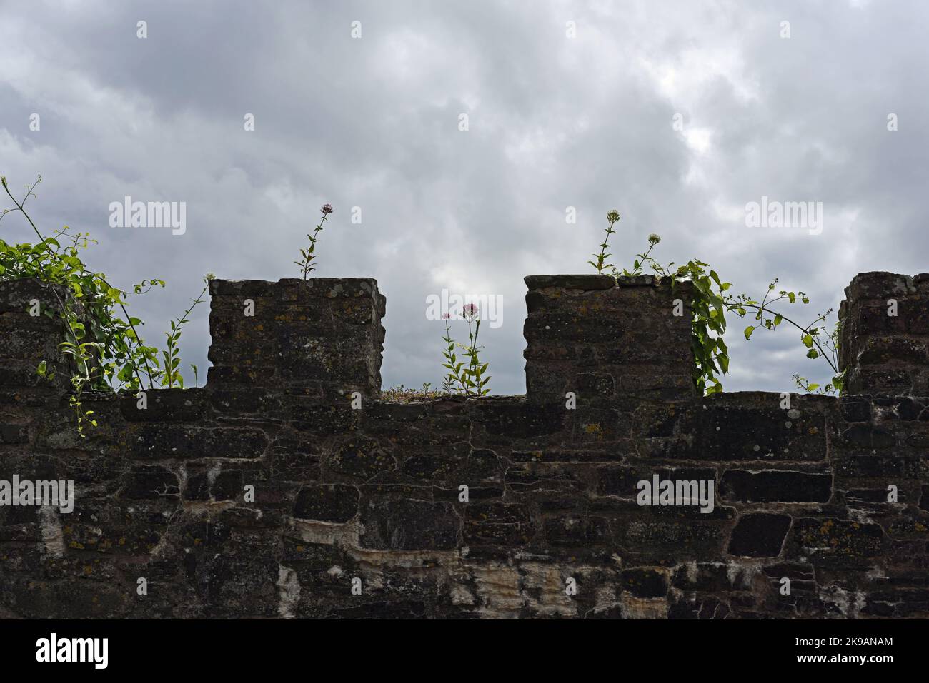 A walk around Laugharne Castle in Carmarthenshire, taking various shots ...