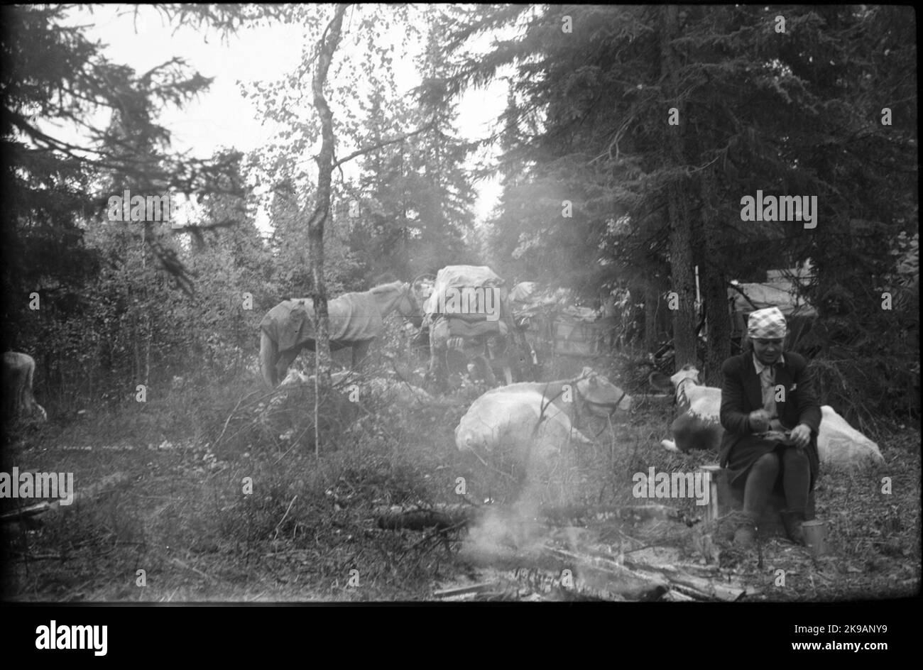 Evacuation of Finnish refugees, autumn 1944 Stock Photo - Alamy