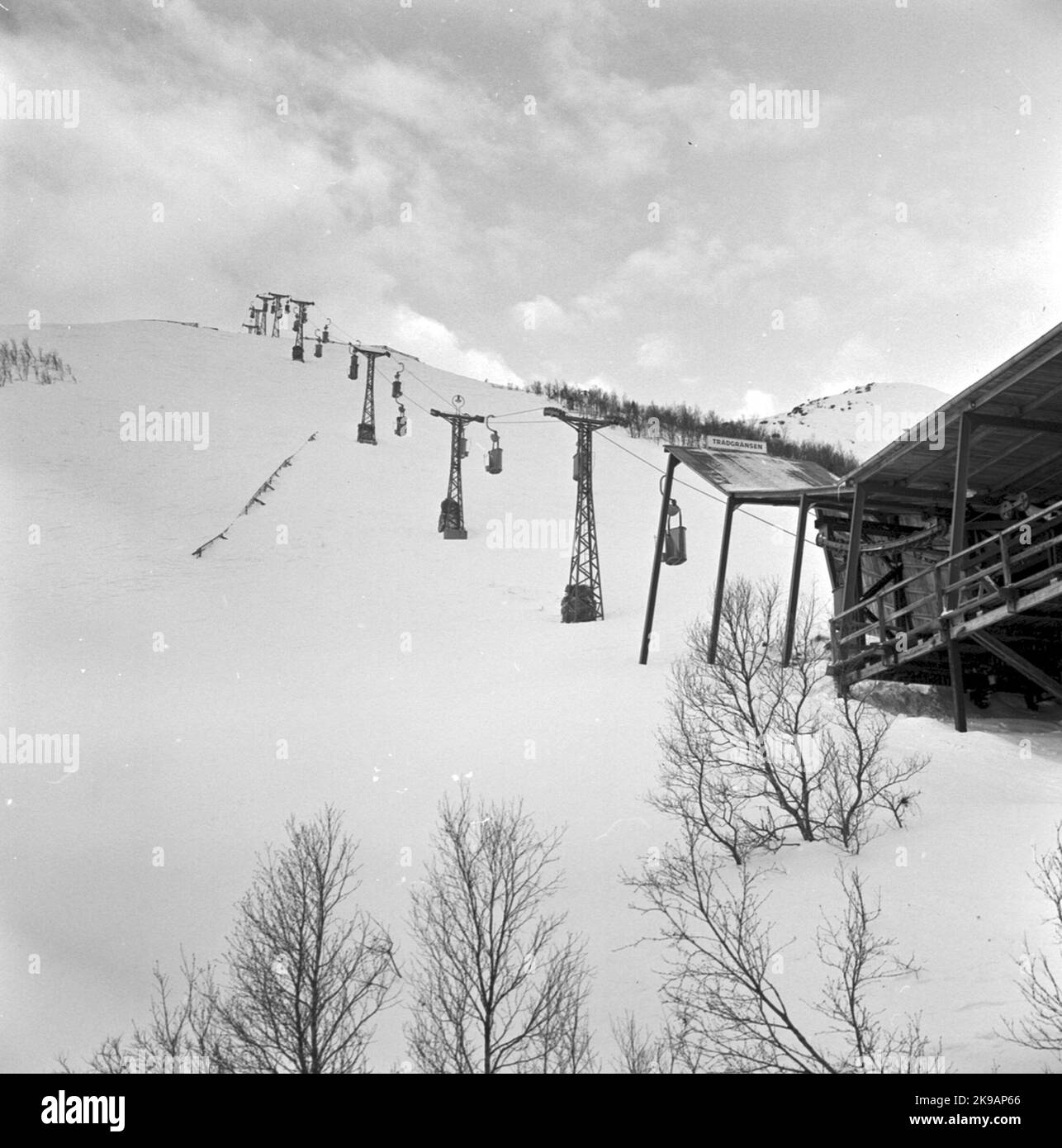 The cable car at the tree line Stock Photo - Alamy