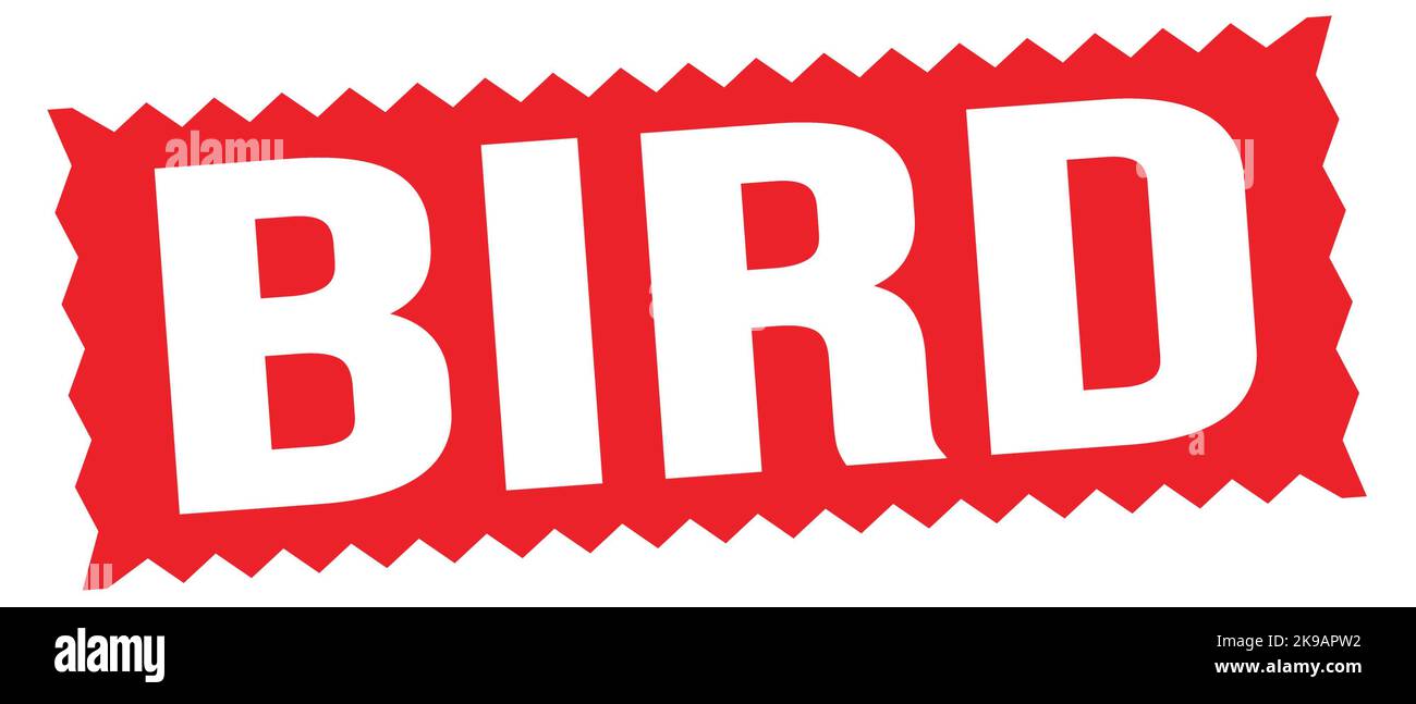 BIRD text written on red zig-zag stamp sign Stock Photo - Alamy