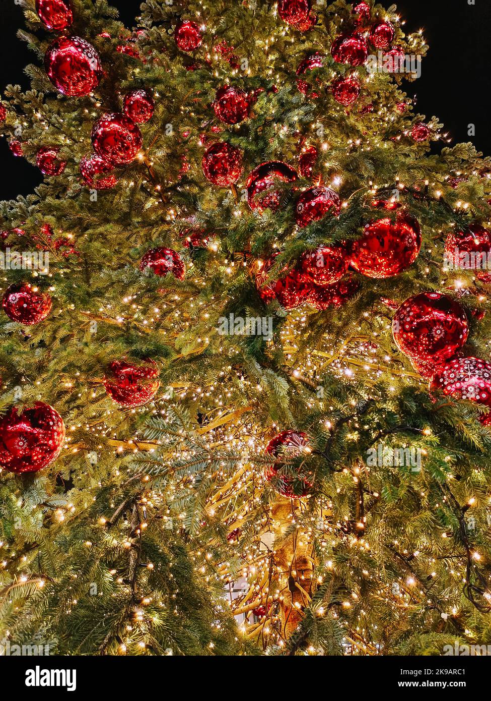 close-up from below of a giant Christmas tree illuminated on the street ...