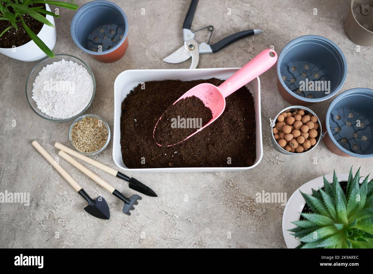 preparation of soil substrate for planting houseplant into a pot Stock ...