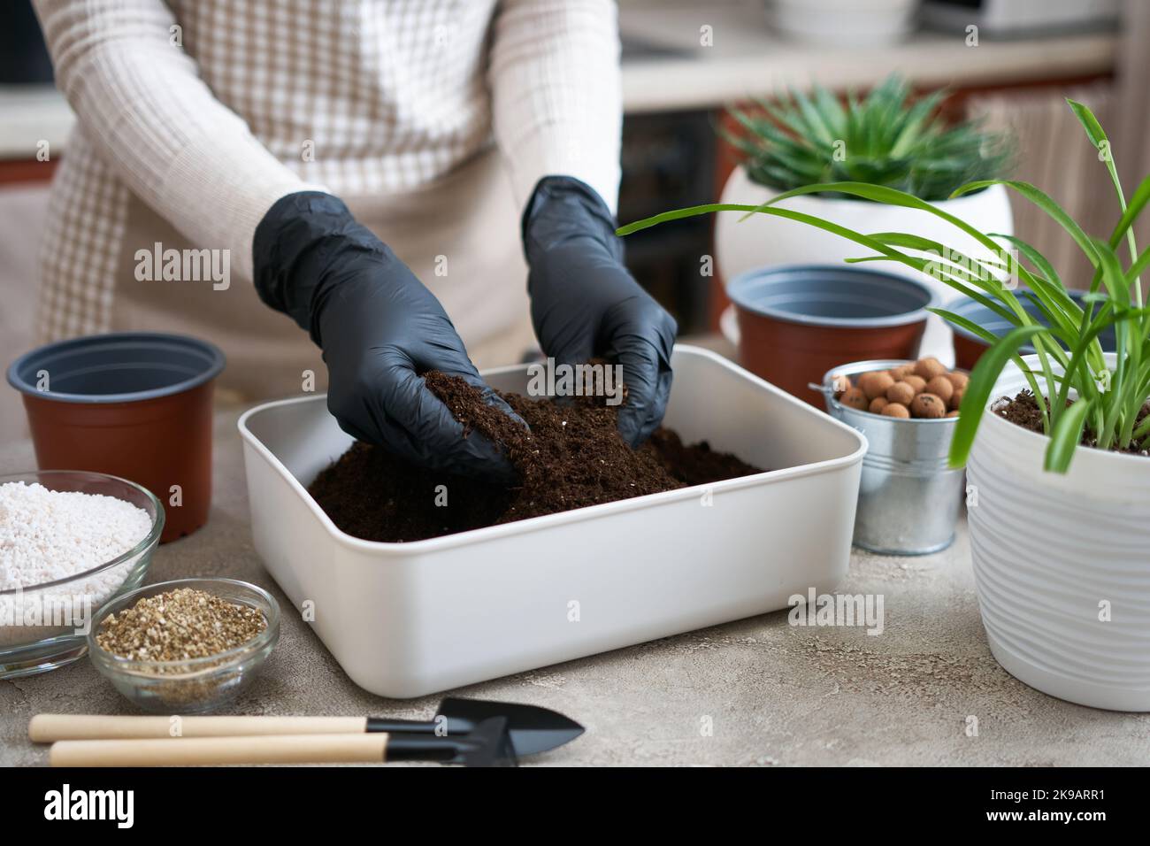 preparation of soil substrate for planting houseplant into a pot Stock ...