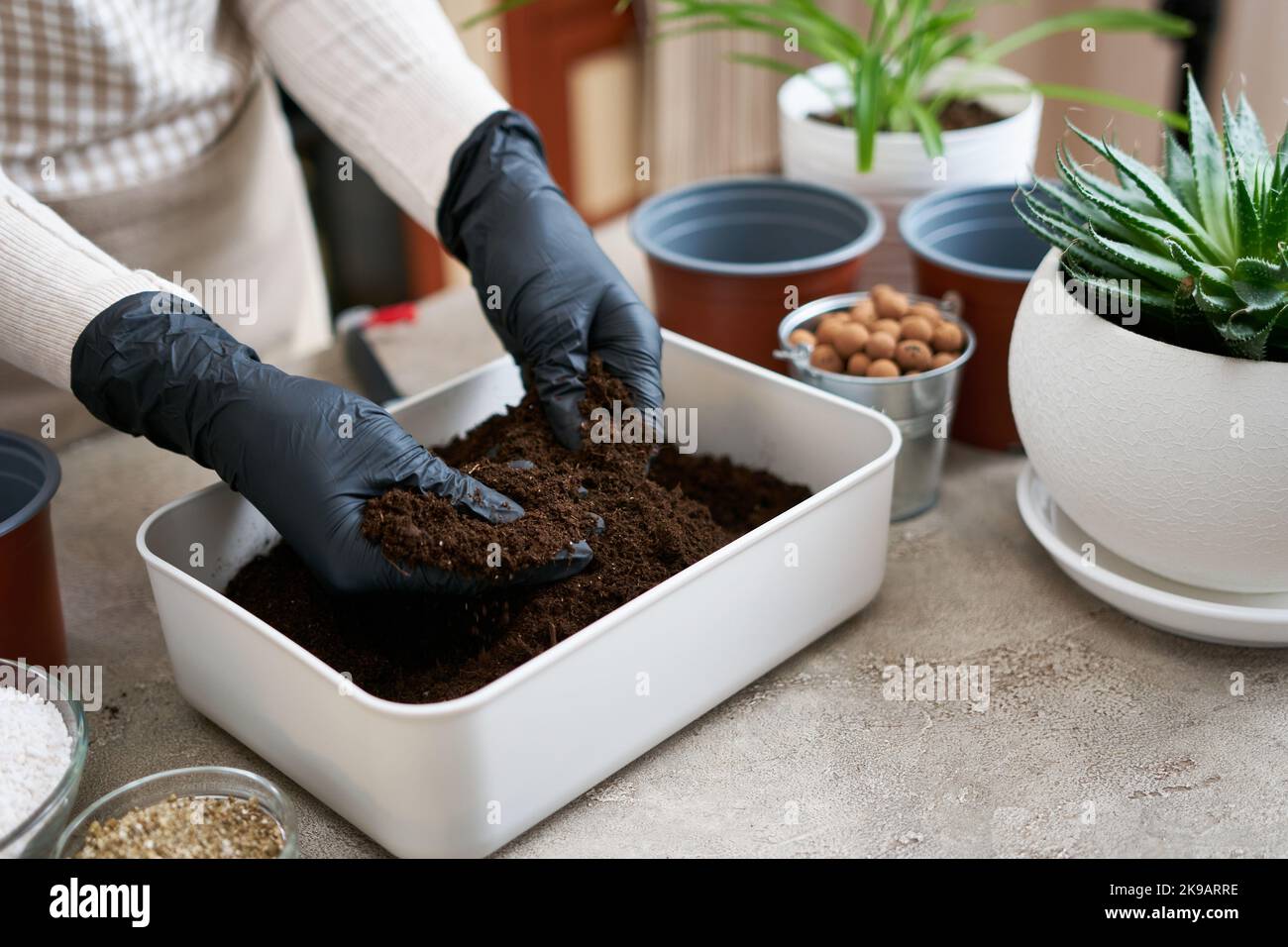 preparation of soil substrate for planting houseplant into a pot Stock ...