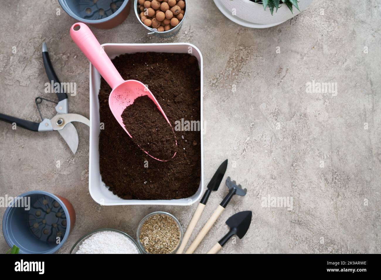 preparation of soil substrate for planting houseplant into a pot Stock ...