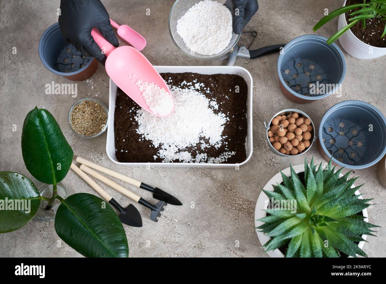 preparation of soil substrate for planting houseplant into a pot Stock ...