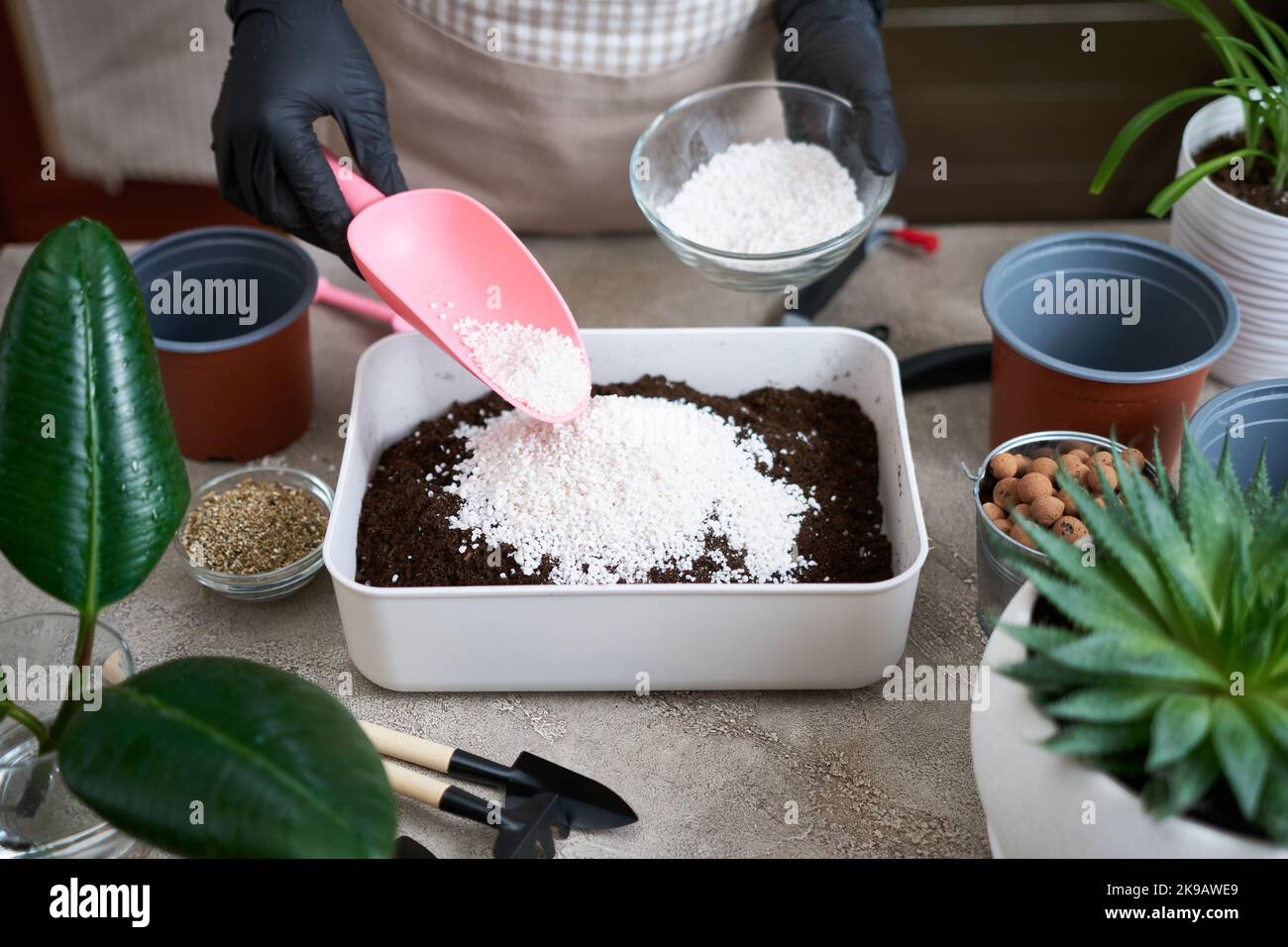 preparation of soil substrate for planting houseplant into a pot Stock ...