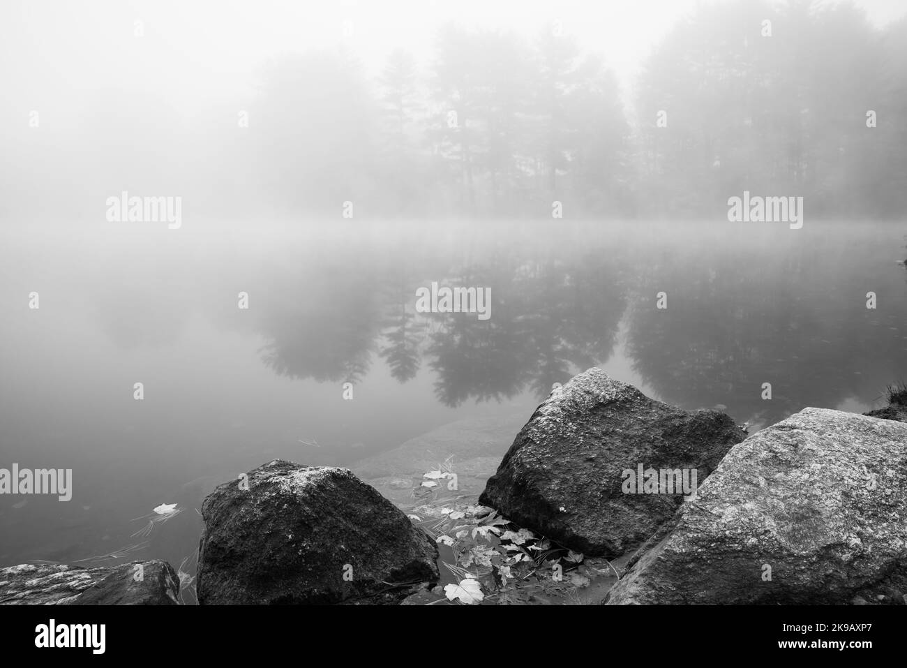 Beautiful autumn landscape pond Black and White Stock Photos & Images ...