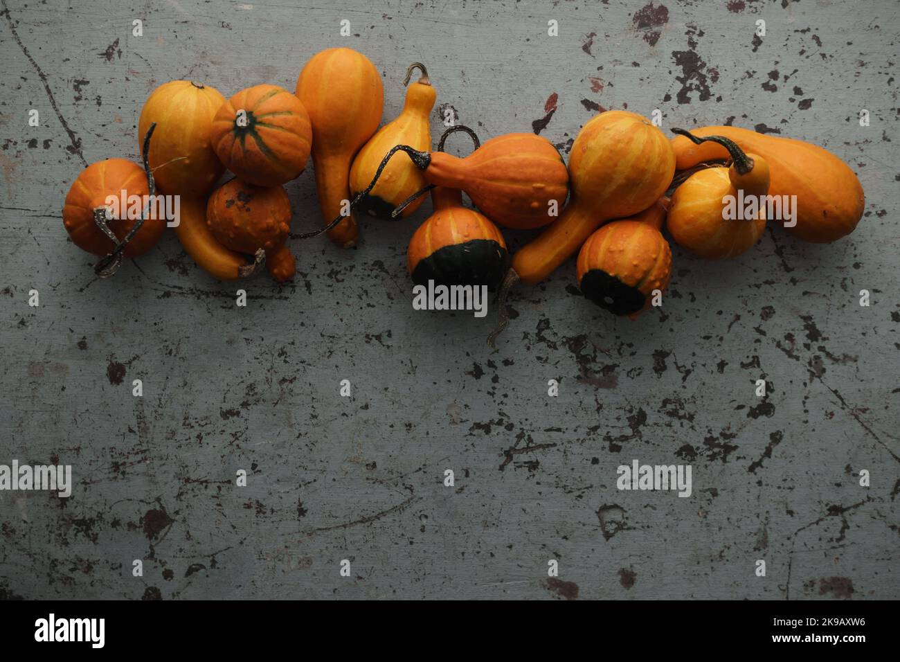 Bright orange and green gourd and decorative squash vegetables Stock ...