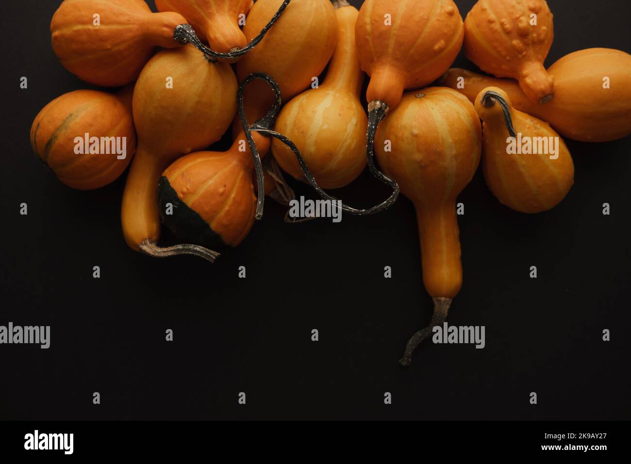 Bright orange and green gourd and decorative squash vegetables Stock ...