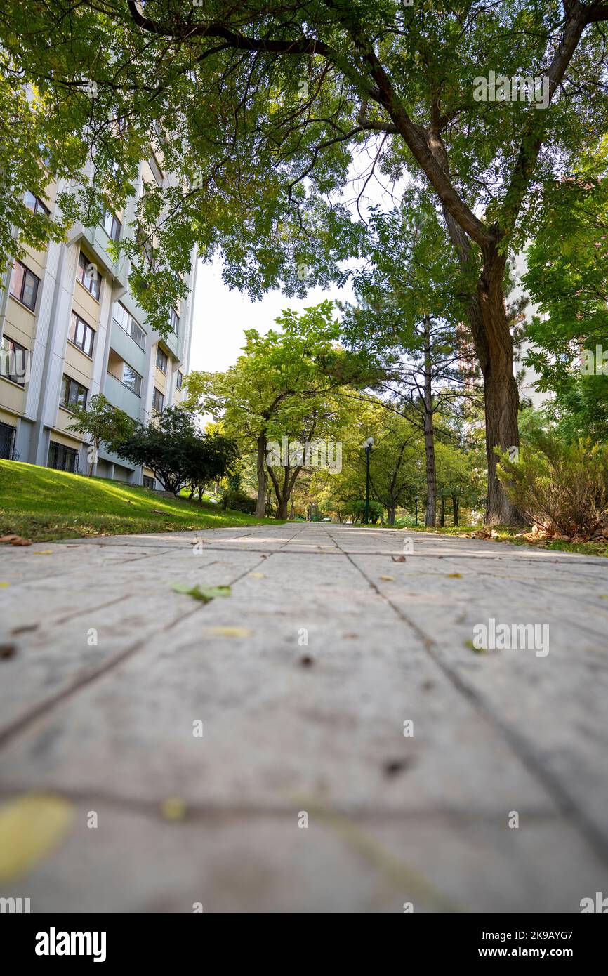 Beautiful autumn view walking path hi-res stock photography and images ...