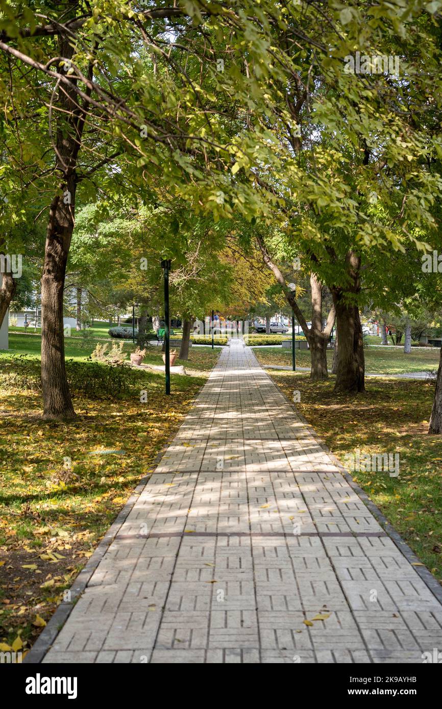 Beautiful autumn view walking path hi-res stock photography and images ...
