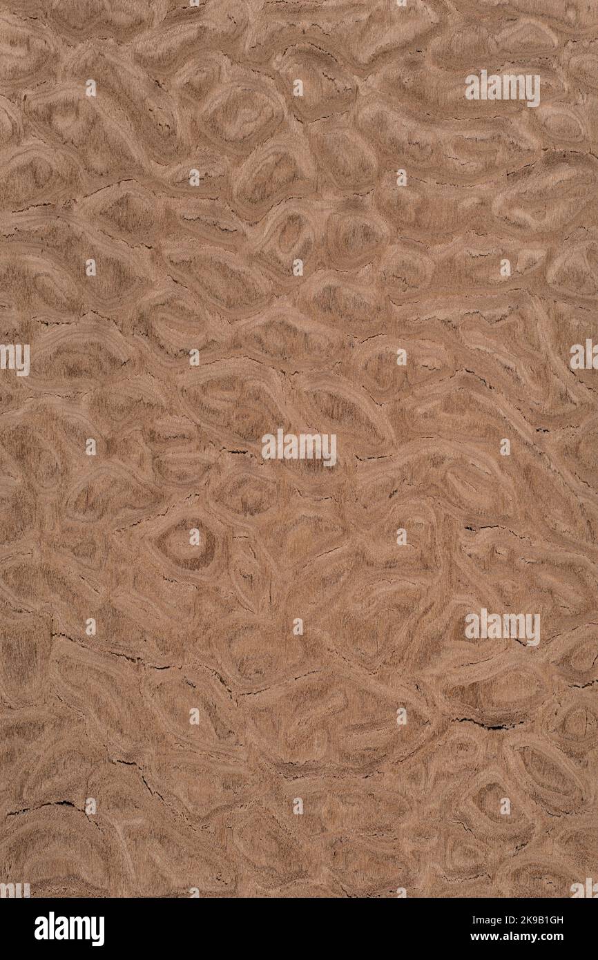 Radica Exotic 4 wood panel texture pattern Stock Photo - Alamy