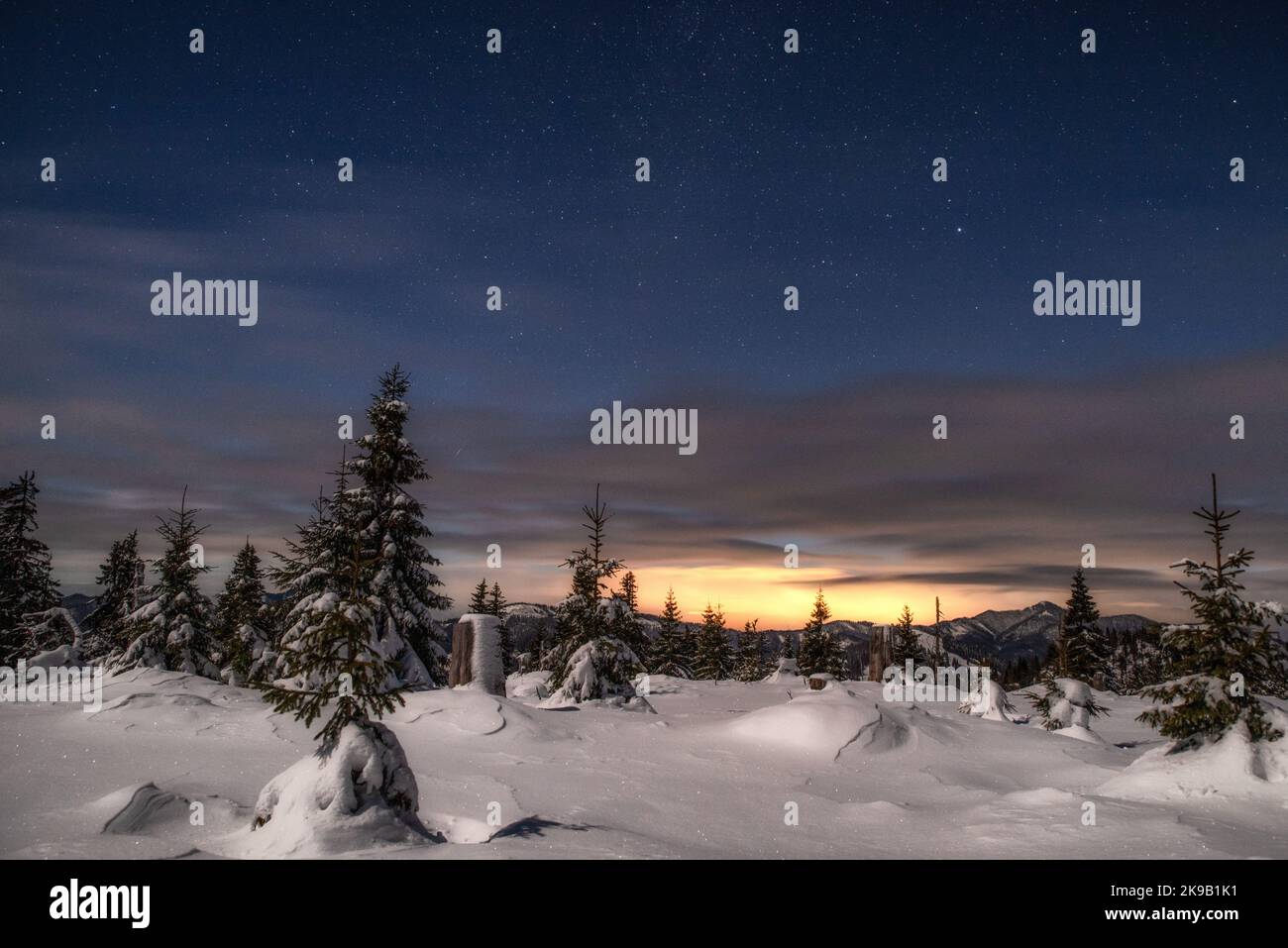 Winter mountain landscape. Snowy trees under sky at night in Smrekovica ...
