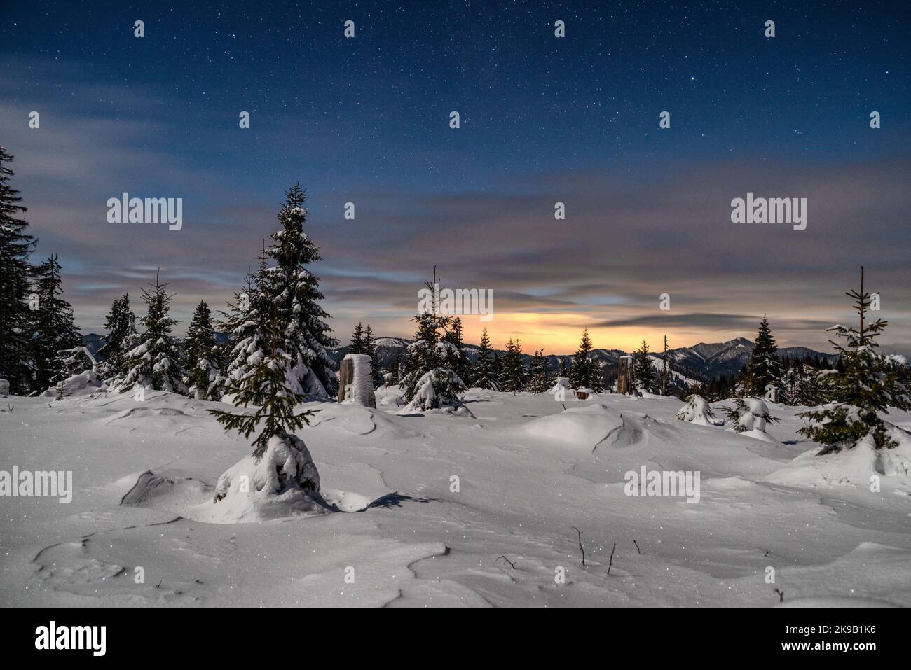Winter mountain landscape. Snowy trees under sky at night in Smrekovica ...
