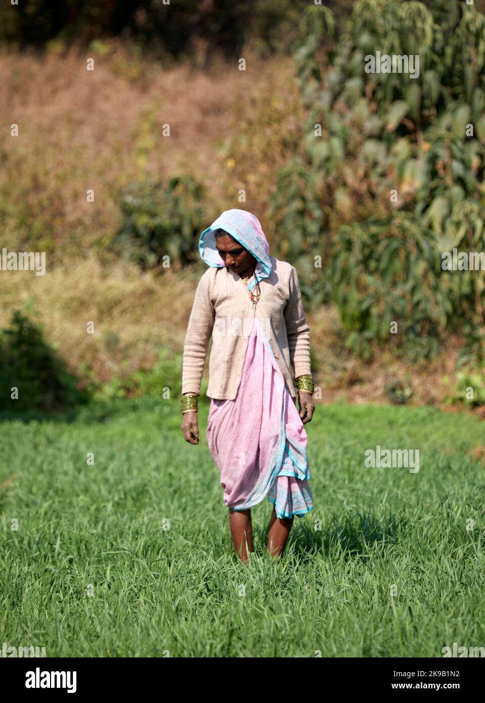 Agricultural worker in local dress. Indian Landscapes, na, India ...