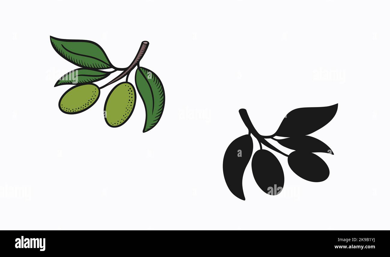 Olive fruit icon, outline with color fill style vector illustration ...