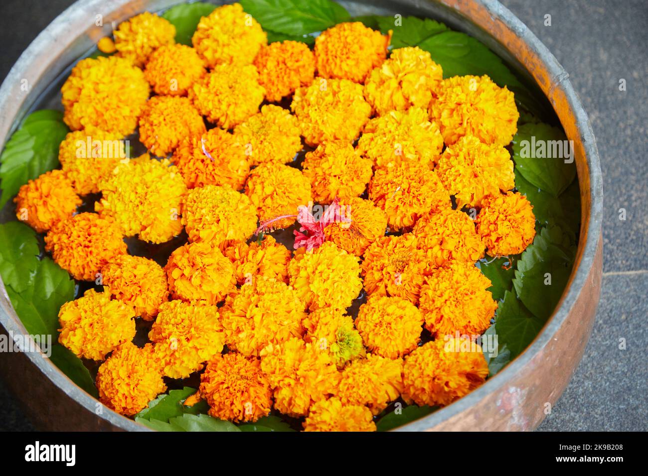 Decorative water feature. Indian Landscapes, na, India. Architect: na ...