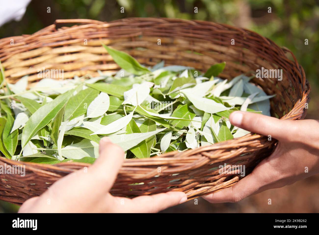 Indian holistic treatments. Indian Landscapes, na, India. Architect: na ...