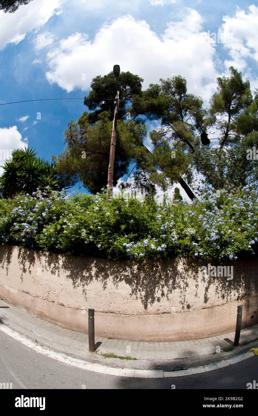 Turo turo hi-res stock photography and images - Alamy