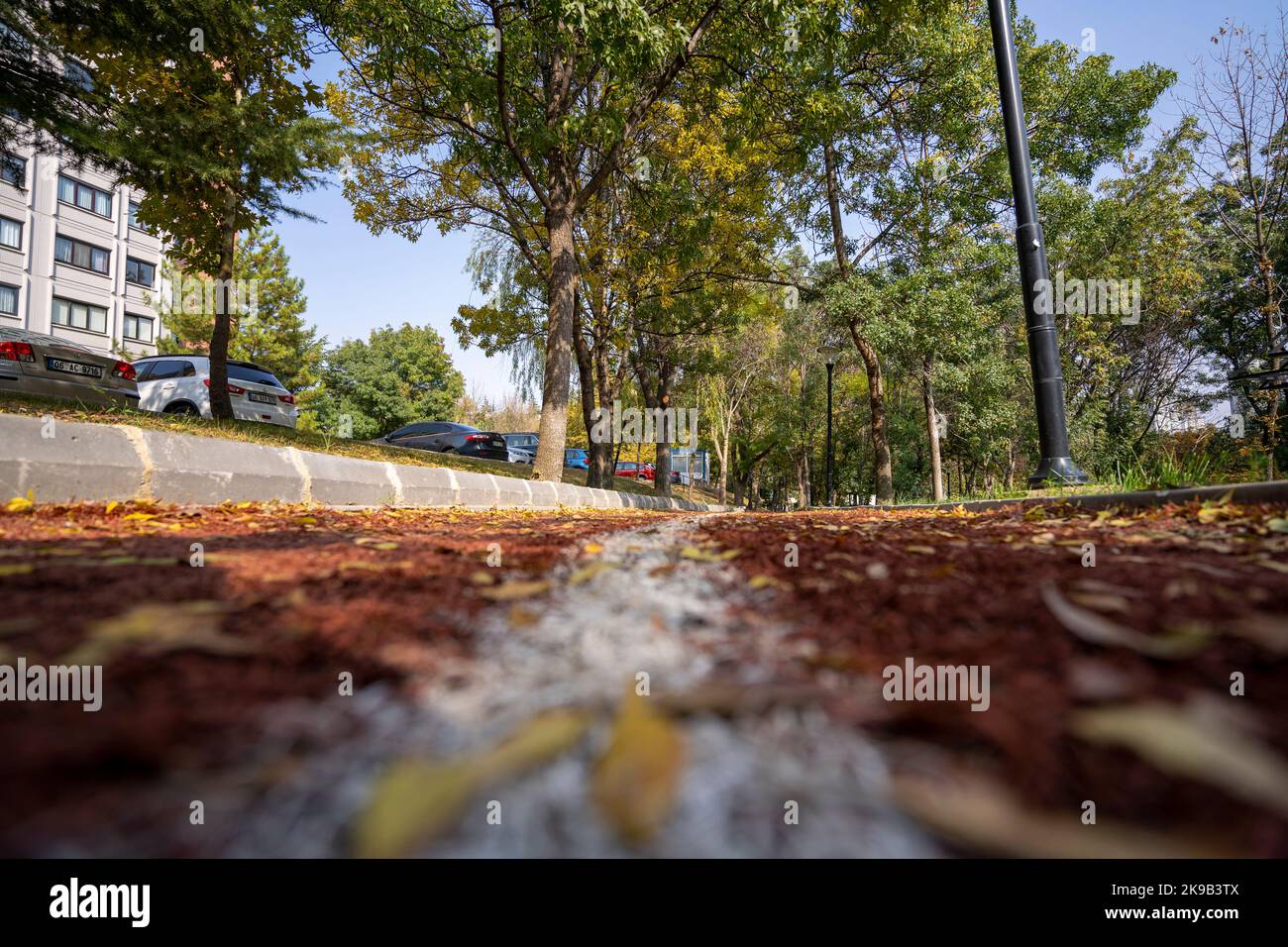 Park and walking path Stock Photo - Alamy