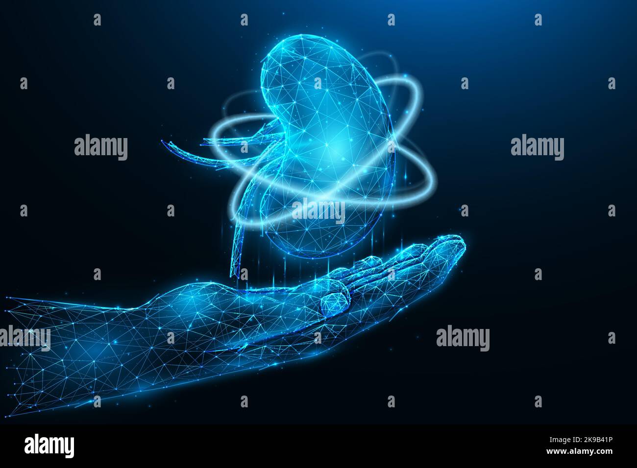 Polygonal vector illustration of a hand with a human kidney. Kidney ...