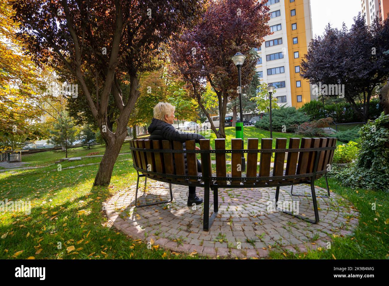 Woman young sitting alone park wooden bench hi-res stock photography ...