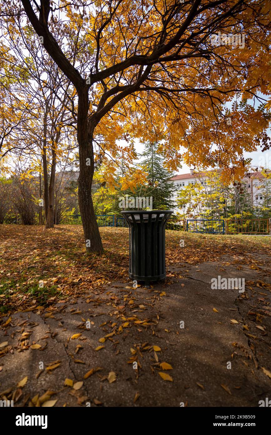 Bench dustbin hi-res stock photography and images - Alamy