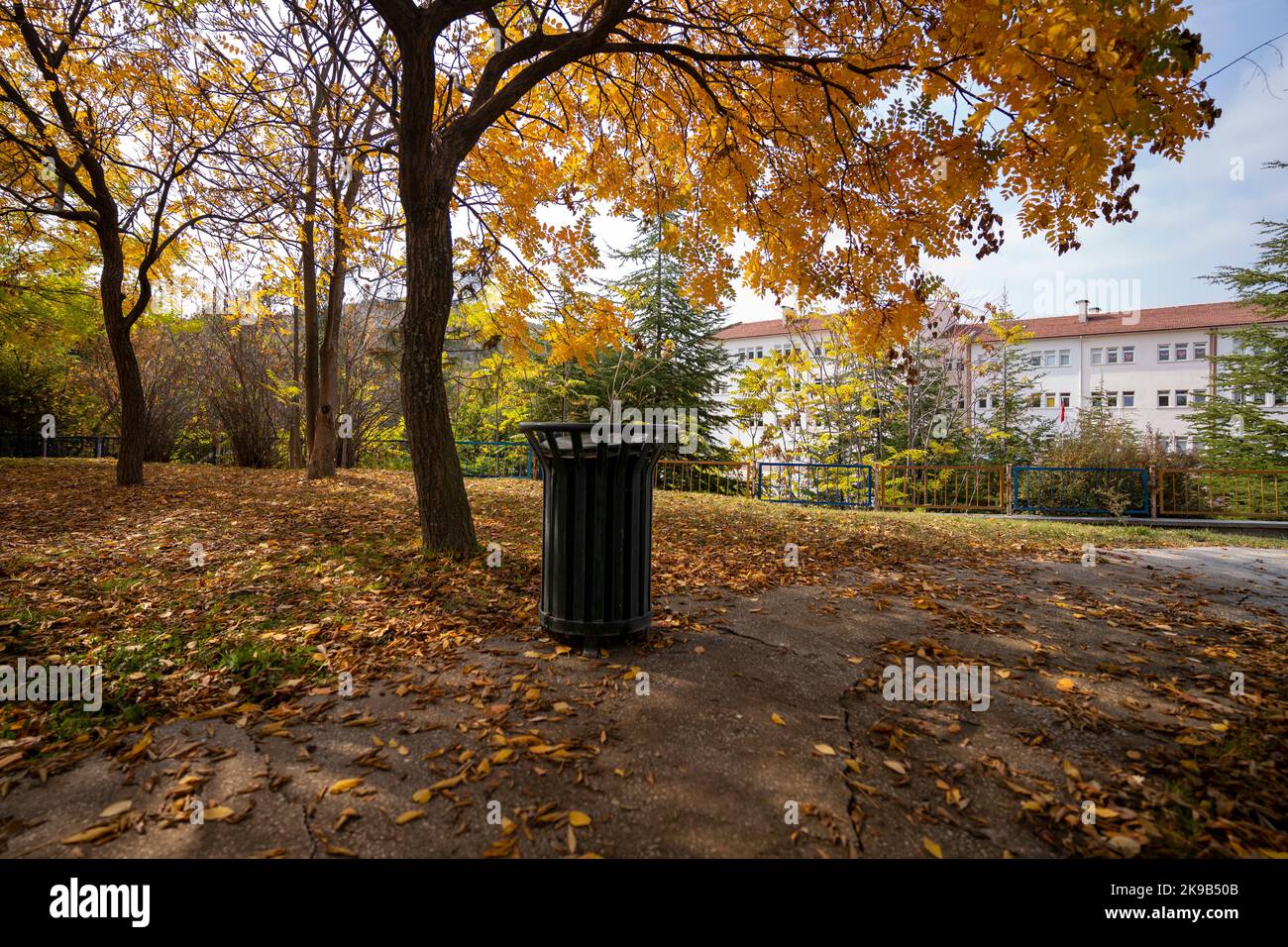 Park and dustbin in autumn Stock Photo - Alamy