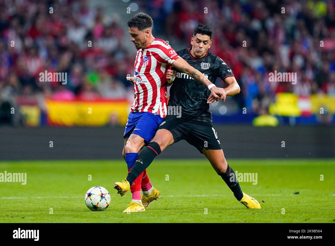 Nadiem amiri of bayer hi-res stock photography and images - Alamy