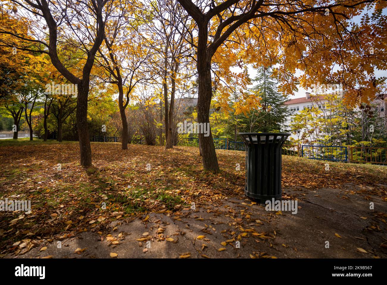 Park and dustbin in autumn Stock Photo - Alamy