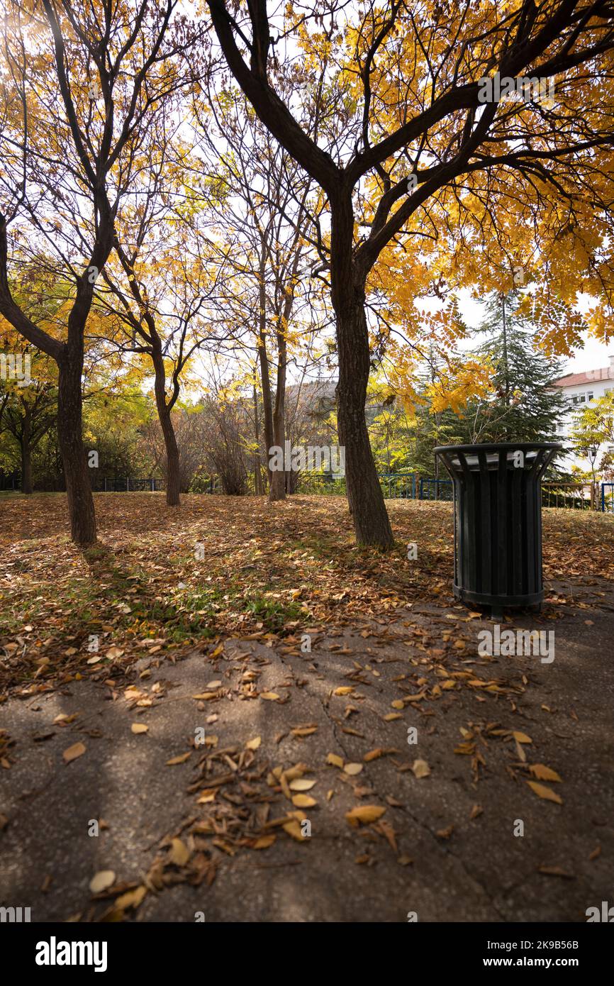Park and dustbin in autumn Stock Photo - Alamy