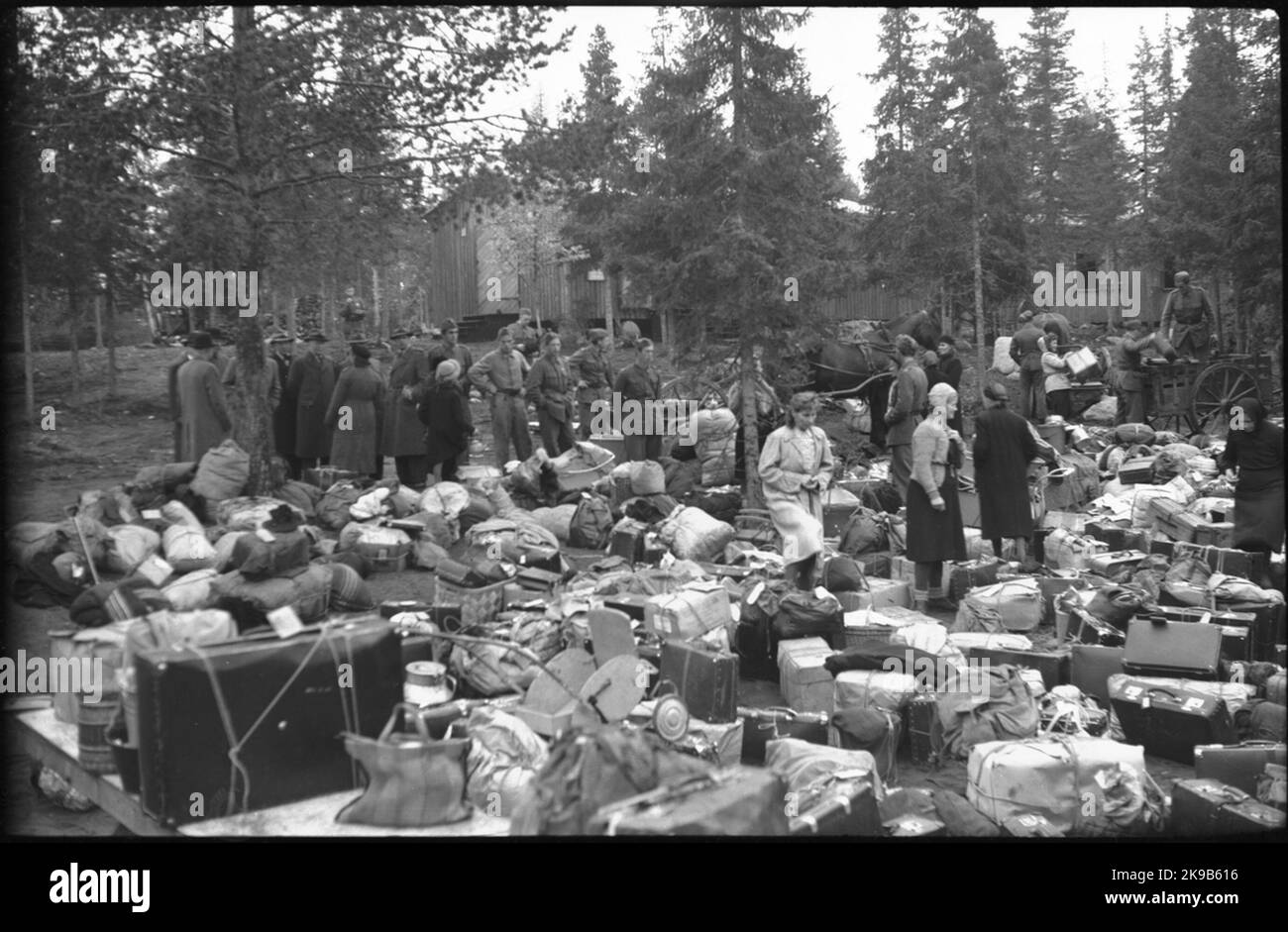 Loading of luggage in the evacuation of Finnish refugees, autumn 1944 ...