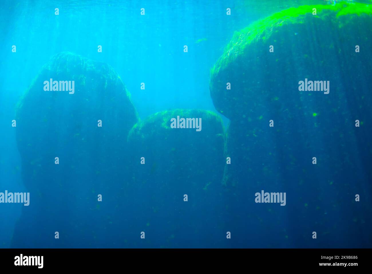 Underwater cliff deep hi-res stock photography and images - Alamy