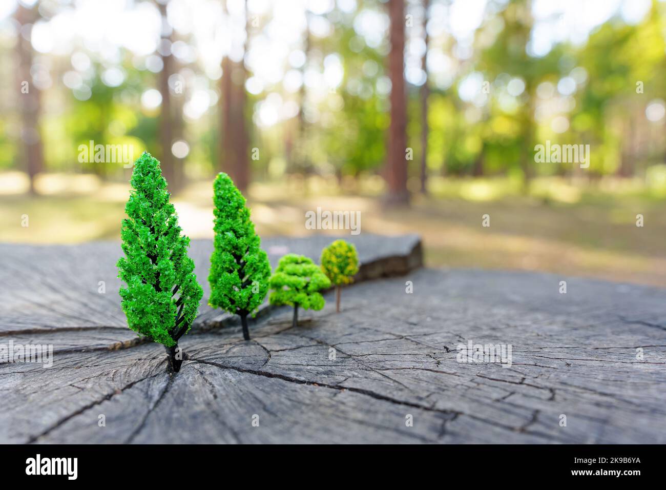 Miniature forest setup placed on a real tree stump in the woods ...