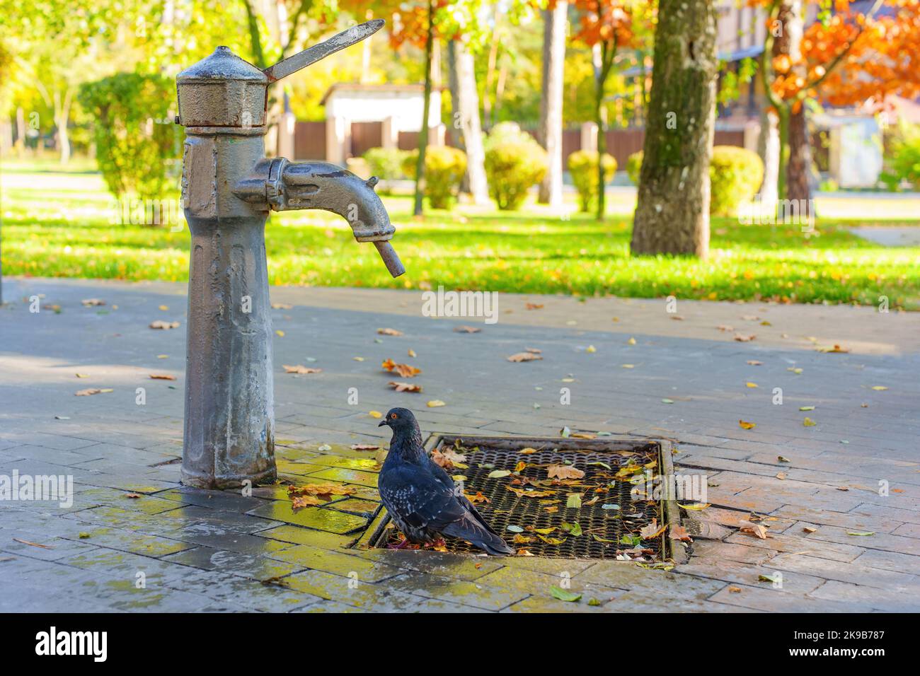 Iron bird test hi-res stock photography and images - Alamy