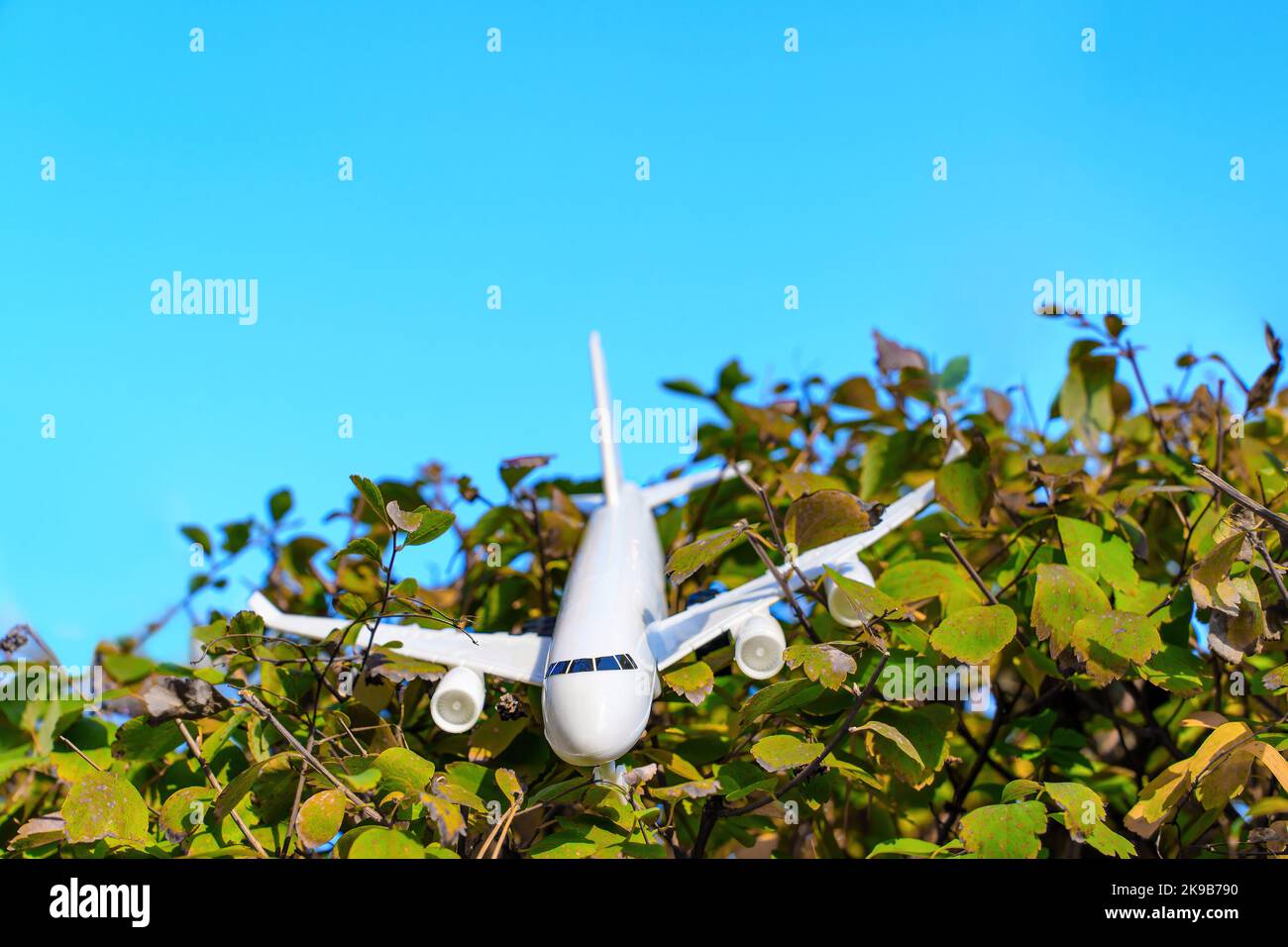 Model aircraft landed on a bush Stock Photo - Alamy