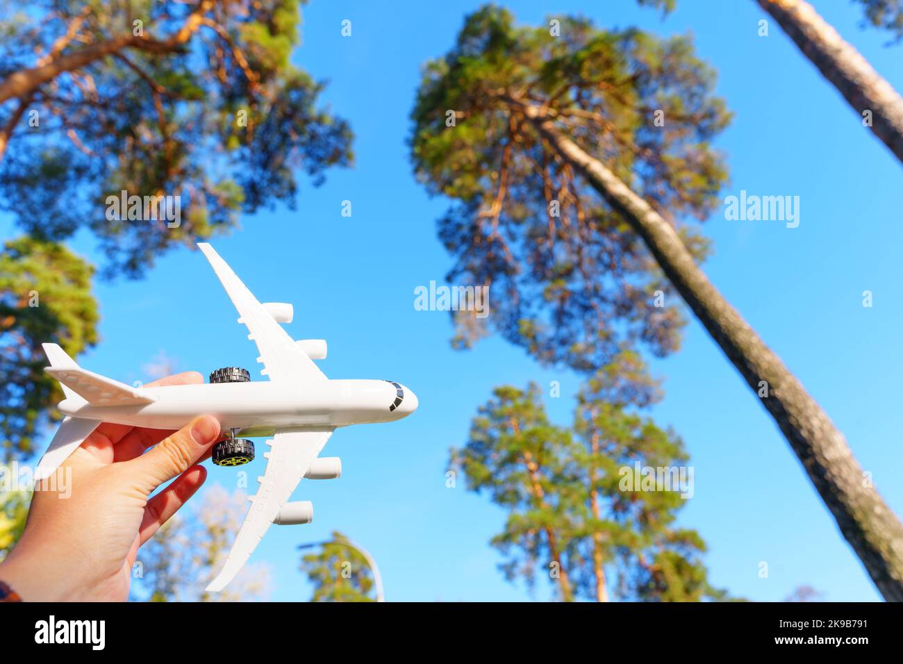 Model aircraft in hand in the forest Stock Photo - Alamy