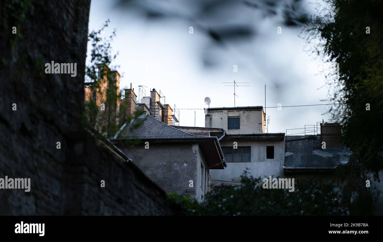 Peek look from behind bushes at the top of an old building Stock Photo ...