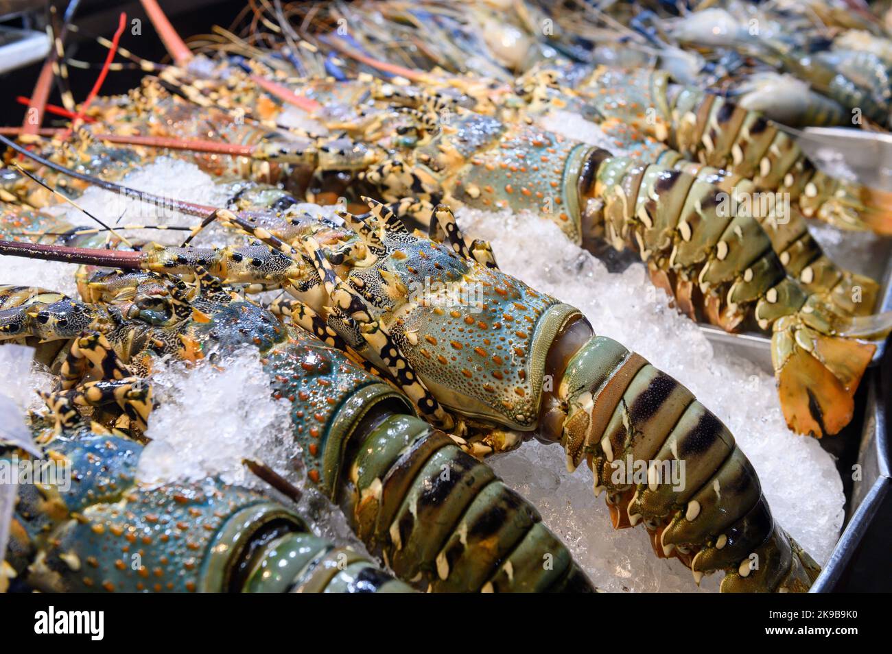 Fresh lobsters on ice for sale Stock Photo - Alamy