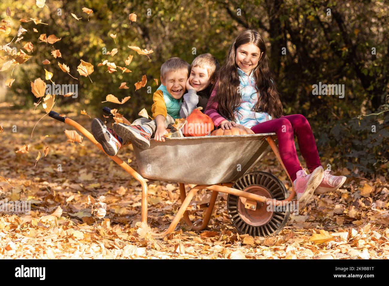 Kids have fun in the wheelbarrow with pumpkins Stock Photo - Alamy