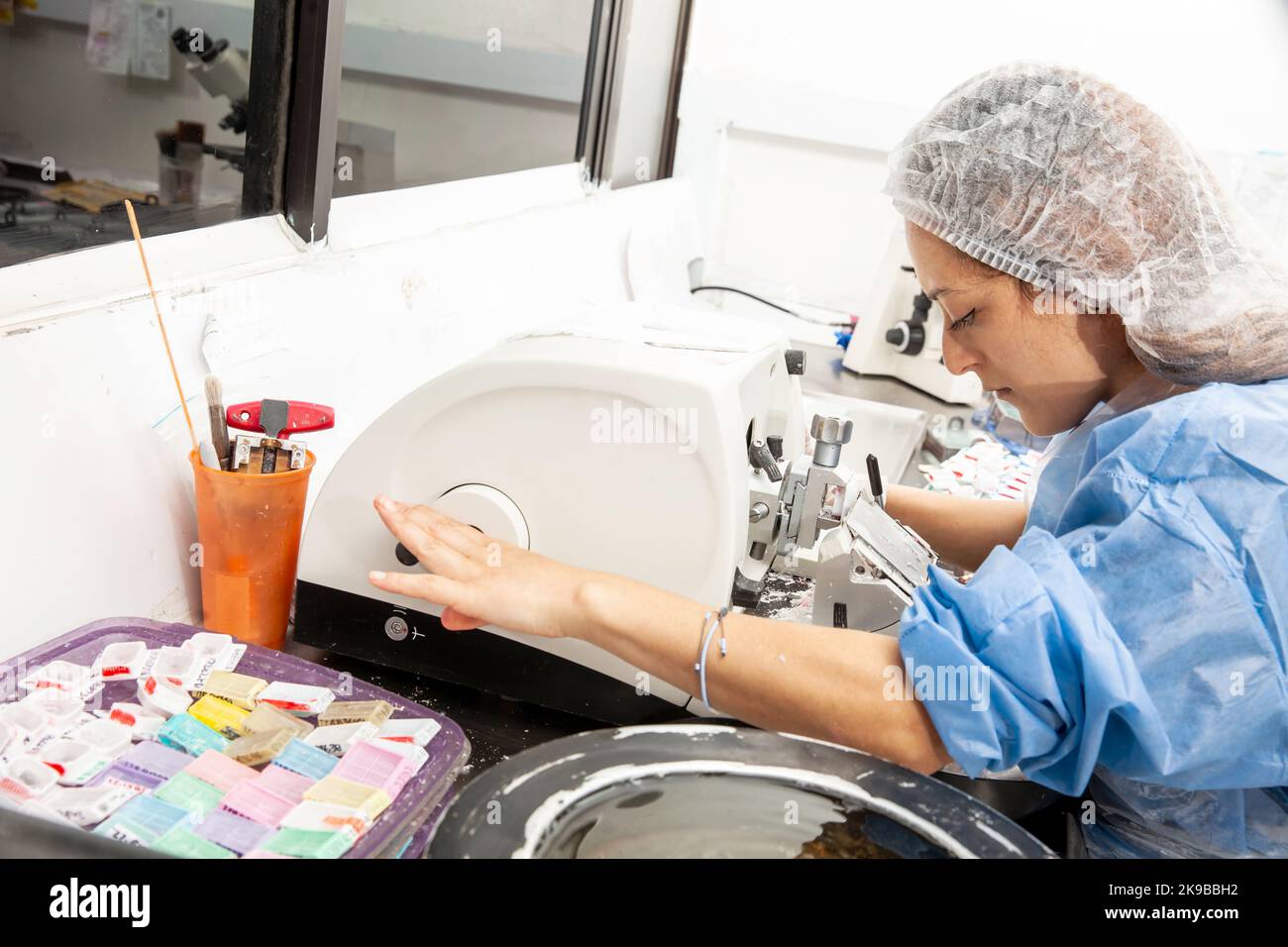 Young female scientist works on a rotary microtome to obtain sections ...