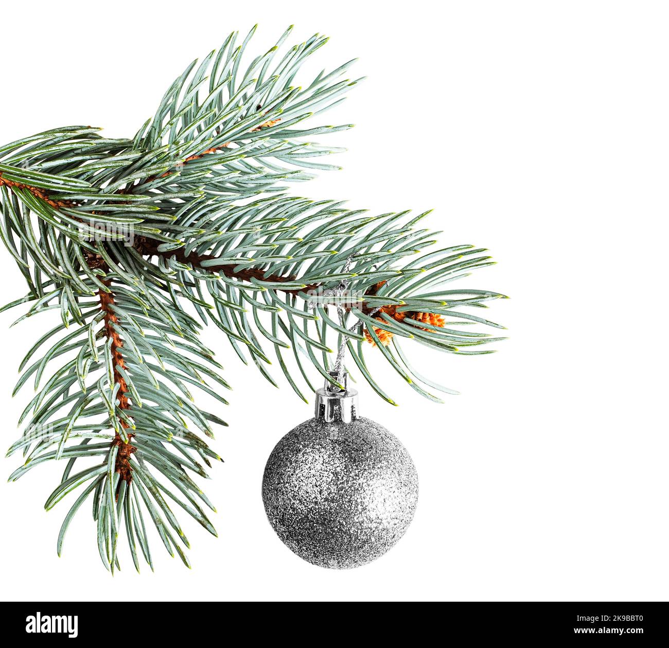 Green pine branch with silver glitter christmas ball, isolated on white ...