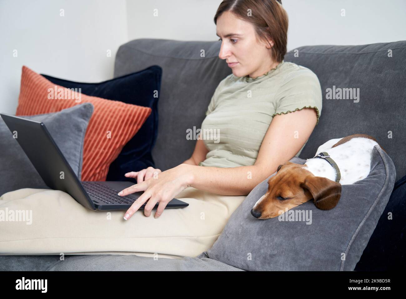 Young woman sitting on sofa at home working on laptop computer with pet ...