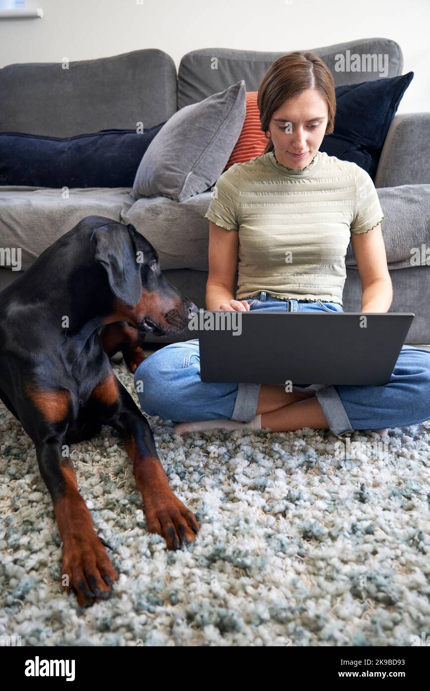 Young woman sitting on floor in front of sofa at home working on laptop ...