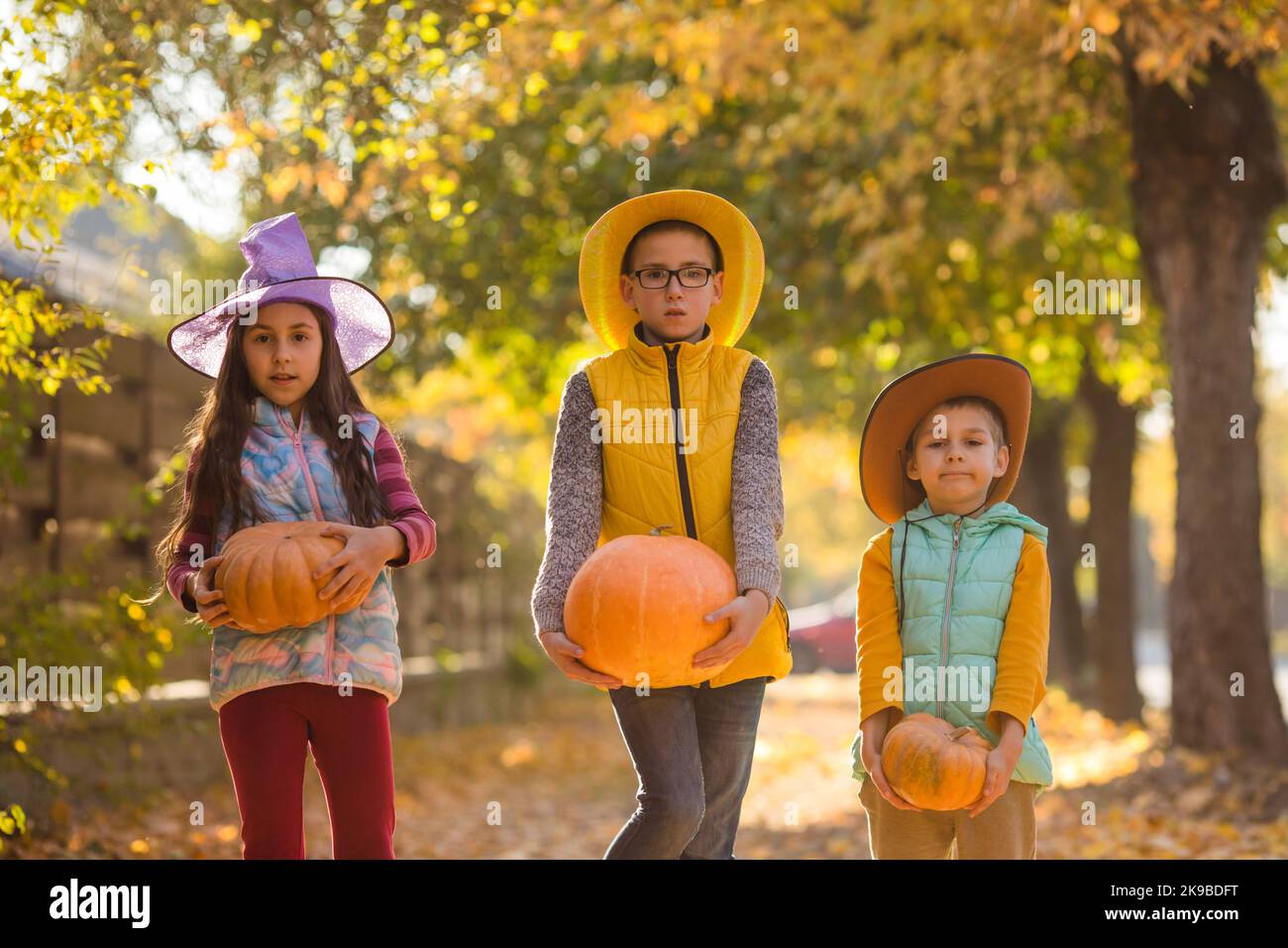Group of little kids enjoying harvest festival celebration at pumpkin ...