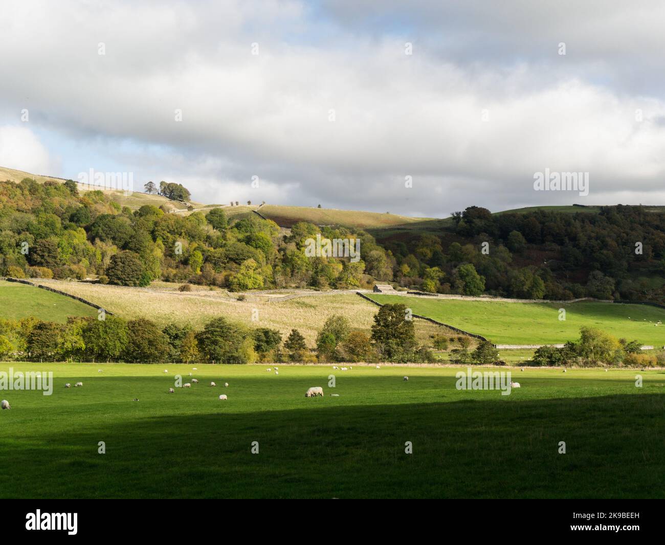 View near reeth north yorkshire england uk hi-res stock photography and ...