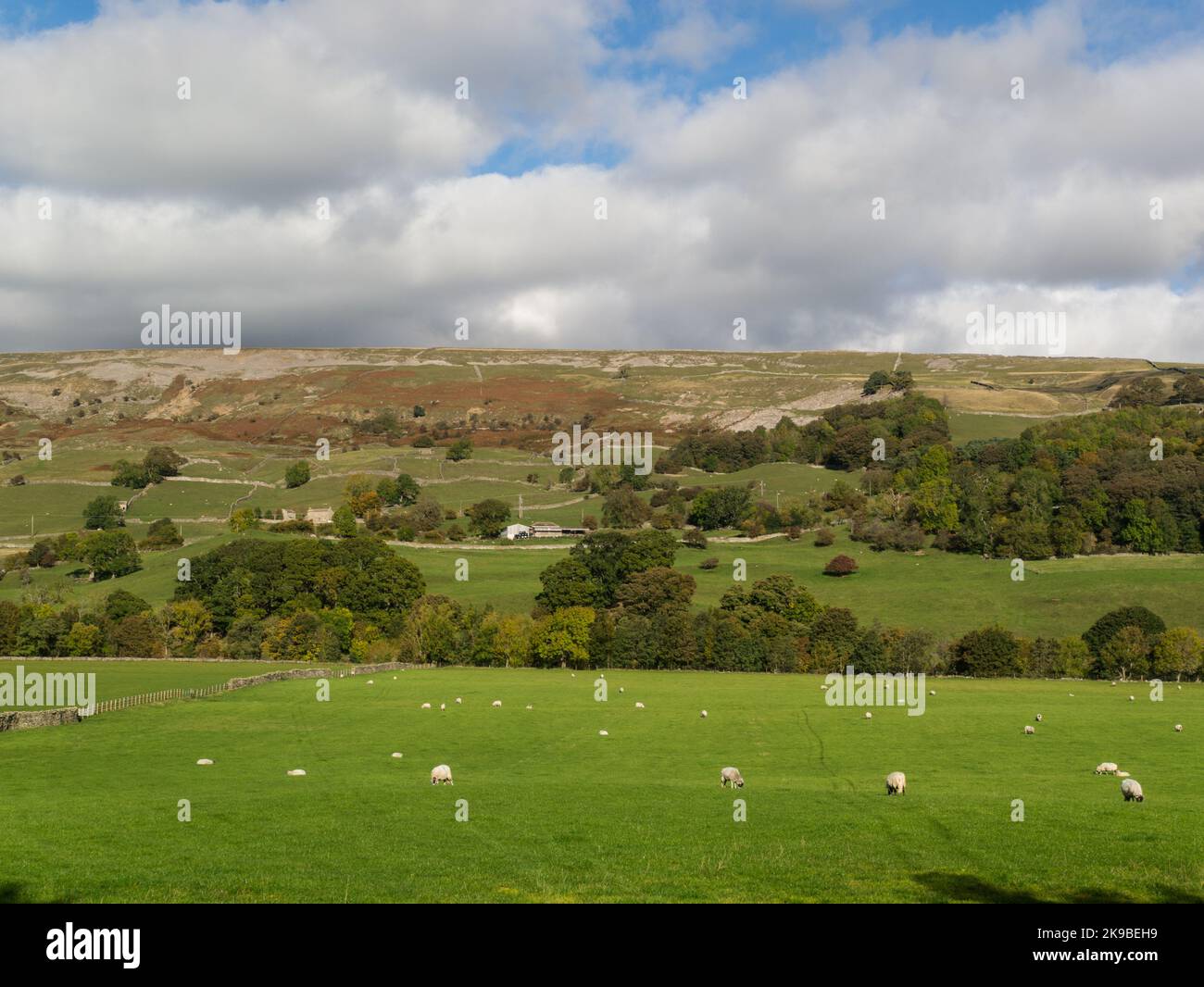 Drystone walls enclosing fields hi-res stock photography and images - Alamy