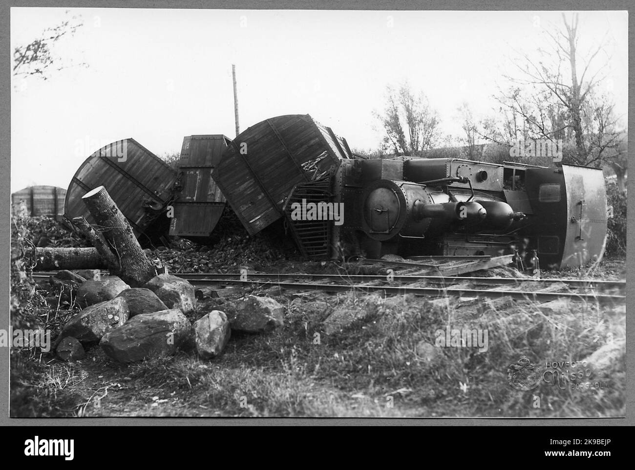 Beetled hi-res stock photography and images - Alamy